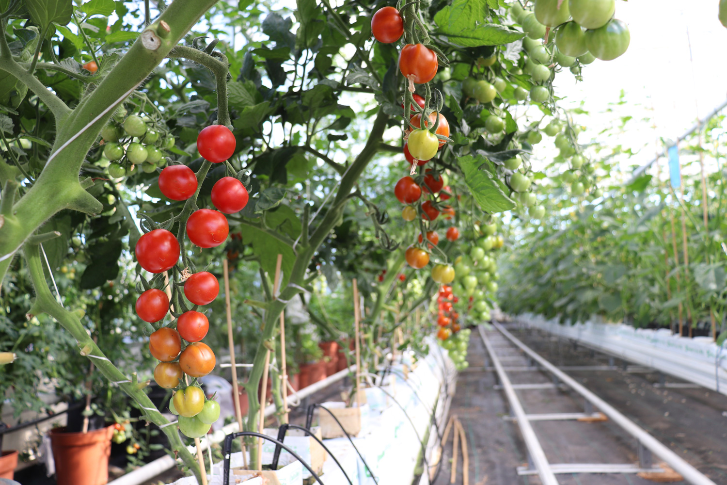Our Stockists | Mudwalls Farm