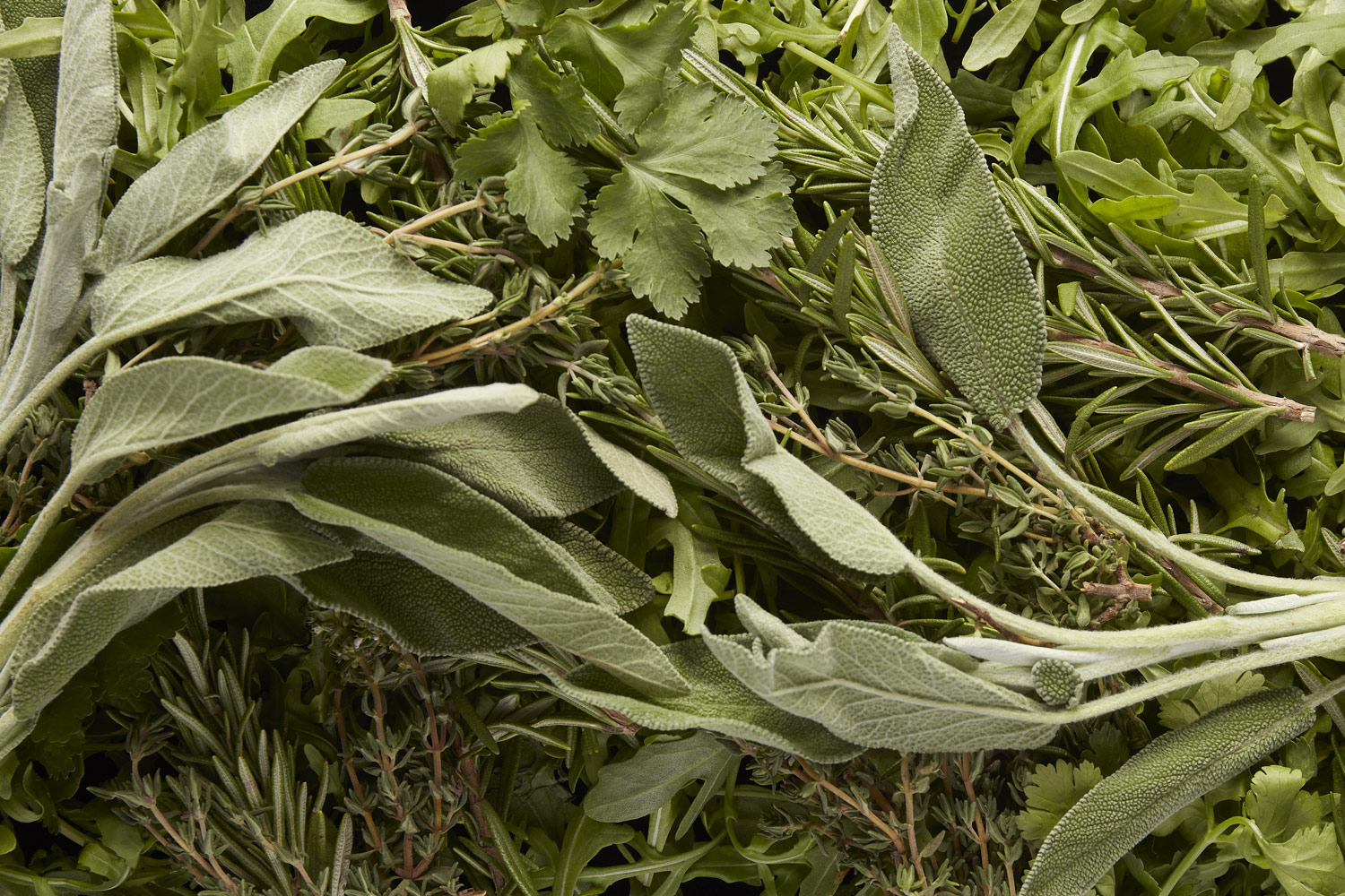Sustainability | Mudwalls Farm
